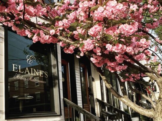 Ep15: Today at Elaine’s Literary Salon, meet Tom Milani, author of the ...